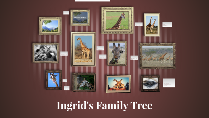 Ingrid's Family Tree by Ingrid 1234 on Prezi