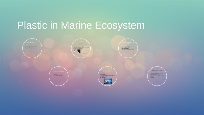 Plastic in Marine Ecosystem by Brooke Holden on Prezi