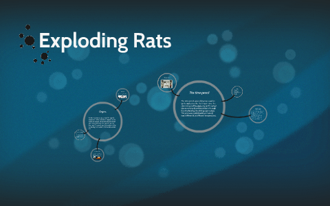 Exploding Rats by Eli Gregory on Prezi