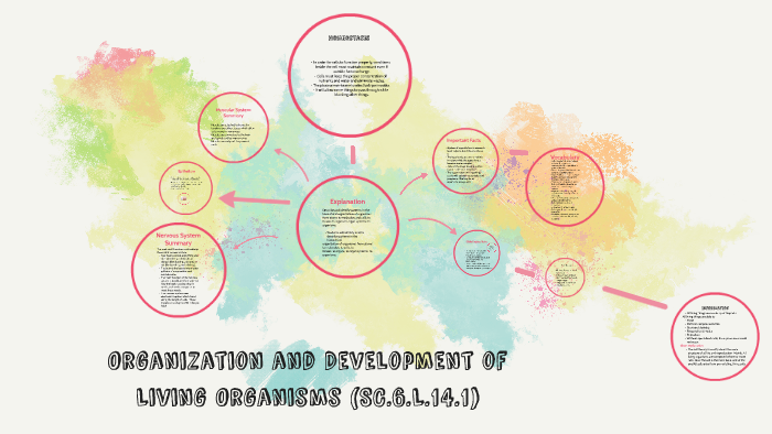 Organization and Development of Living Organisms (SC.6.L.14. by joshua ...