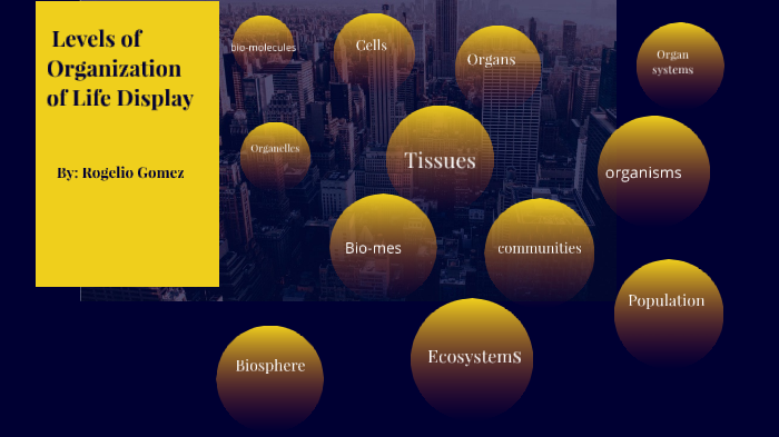 Levels of Organization of life by Rogelio Gomez on Prezi