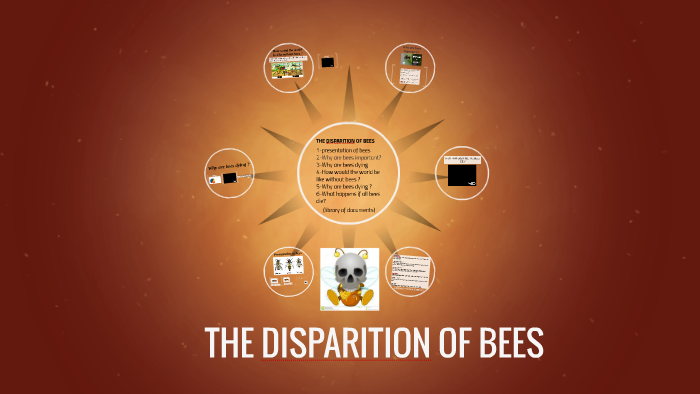 LA DISPARITION DES ABEILLES by Ernest Leclercq on Prezi