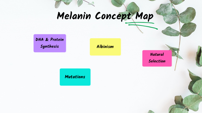 Melanin - Concept Map by Nadia Kojonroj on Prezi