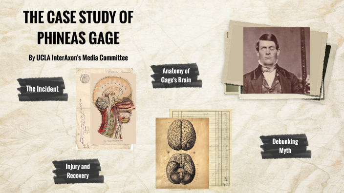 Phineas Gage Case Study by LORENA GONZALEZ on Prezi