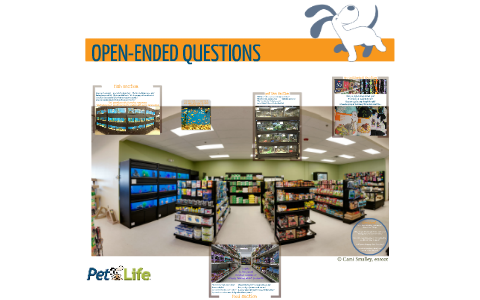 Customer Service: OPEN-ENDED QUESTIONS by Cami Smalley on Prezi