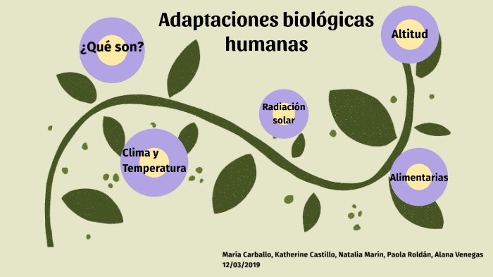 Adaptaciones biológicas humanas by Natalia Marín Castillo on Prezi