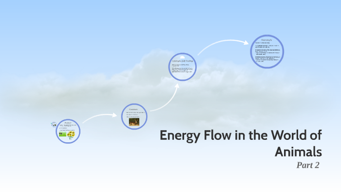 Energy Flow in the World of Animals Part 2 by Kati Delbert on Prezi