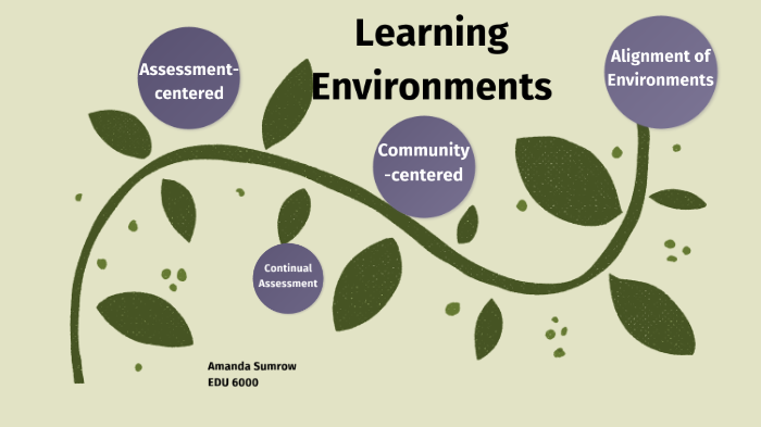 Assessment-Centered and Community-Centered Learning Environments by ...