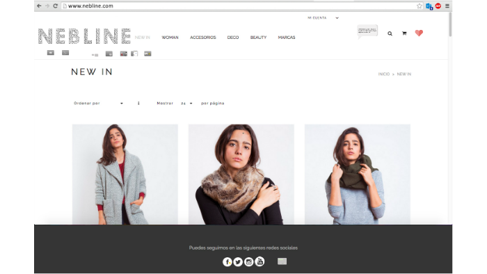 NEBLINE Canales y Distribución by Ariana Martinez on Prezi