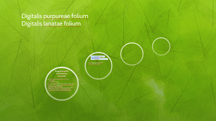 Digitalis purpureae folium by Katarina Baćević on Prezi