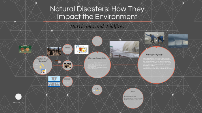 Natural Disasters: How They Impact the Environment by Madeline Rublee ...