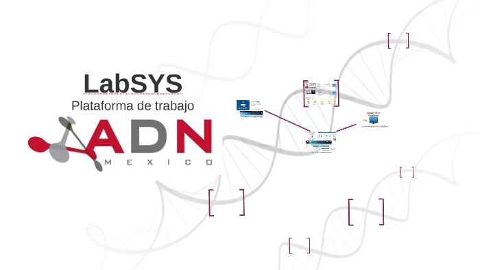 LabSYS by Lilian Heredia on Prezi