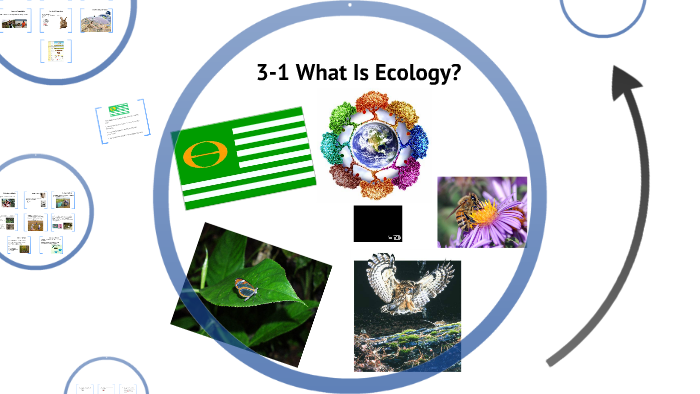 Biology Chapter 3-1 What is Ecology? by Jane Constantino on Prezi