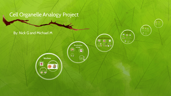 Cell Organelle Analogy Project by Nick Glovsky on Prezi
