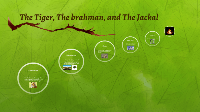 The Tiger, The brahman, and The Jackal by meghan miller on Prezi