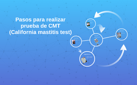 Prueba de CMT (California mastitis test) by Ever Benavides on Prezi