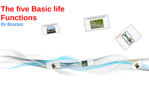 The five Basic life Functions by REBECCA BAGGETT on Prezi