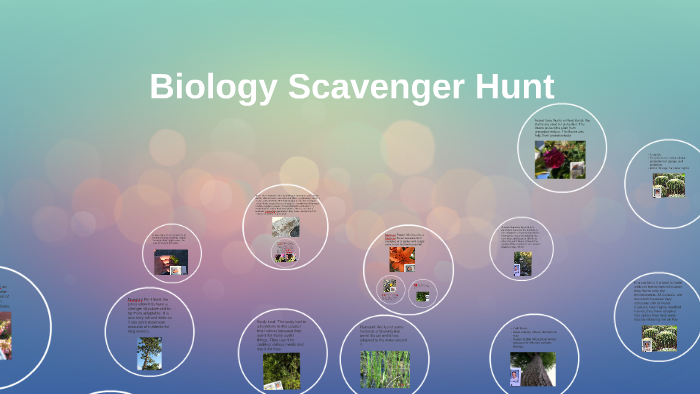 Biology Scavenger Hunt by Dawson Veeneman on Prezi