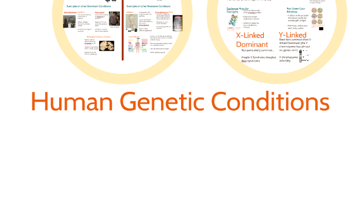 Genetics 5 Human Genetic Conditions by Daniel Cordek on Prezi