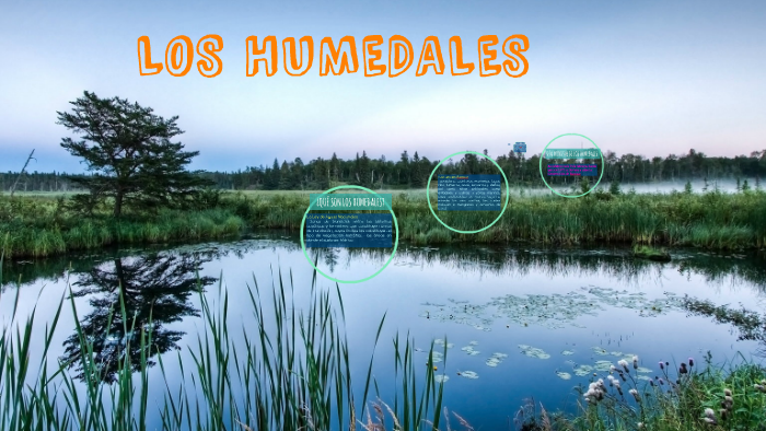 LOS HUMEDALES by naomi suárez on Prezi