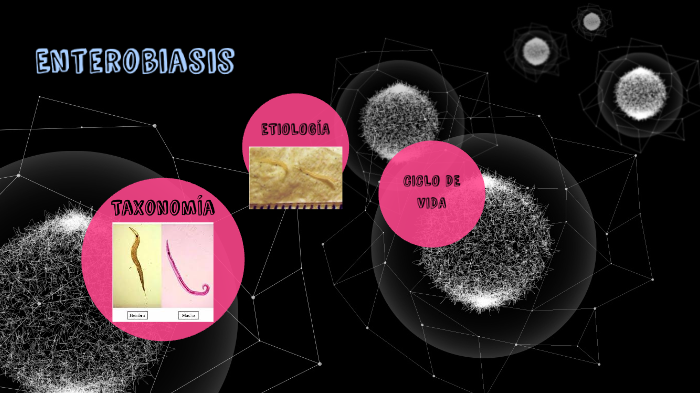 Enterobiasis by Diana Laura De la Cruz on Prezi