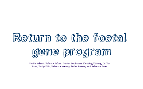 Foetal gene program by Rebecca Murray on Prezi