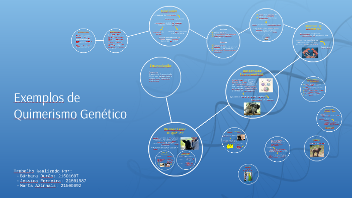 Exemplos de Quimerismo by Marta Azinhais on Prezi