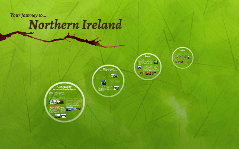 Temperate Deciduous Forest by Colleen Garrison