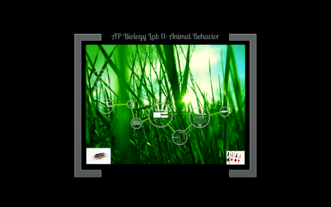AP BIology Lab 11: Animal Behavior by monique elliott-smith on Prezi