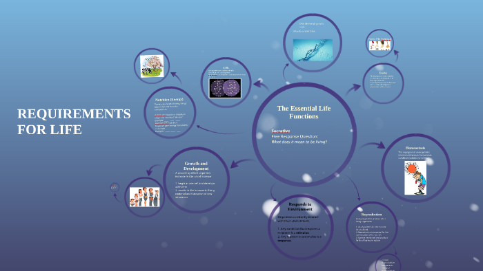 Essential Life Functions by Jeff Nichols