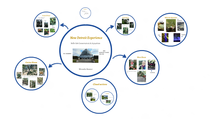 New Detroit Experience by Miranda Maurer