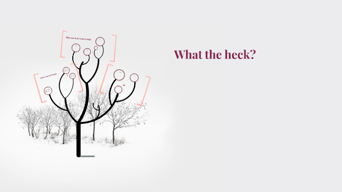 What the heck, you are ready for seck? by Megan Joaquin on Prezi