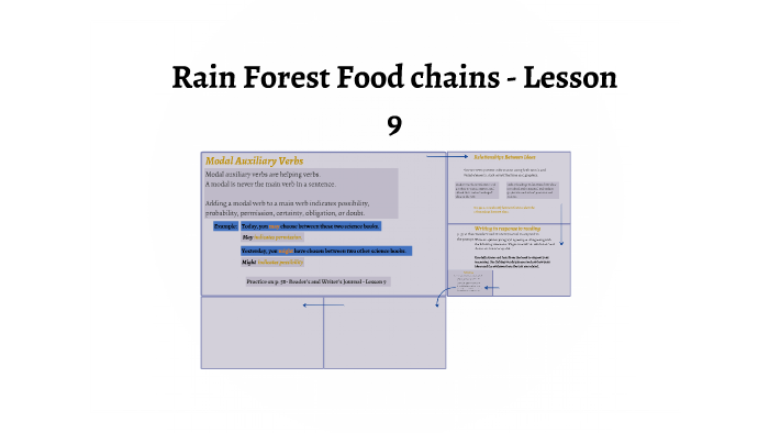 Rain Forest Food chains - Lesson 9 by Ariana De Jesus