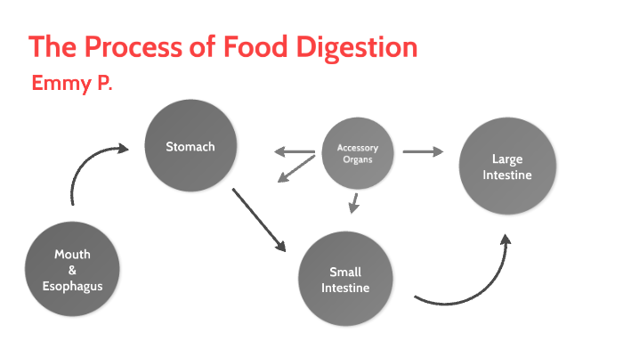 Digestion by Emmy Presley on Prezi