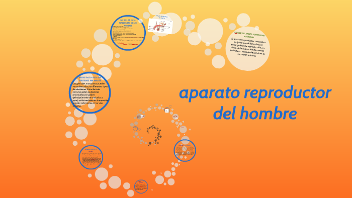 aparato reproductor del hombre by Ricardo lopz on Prezi