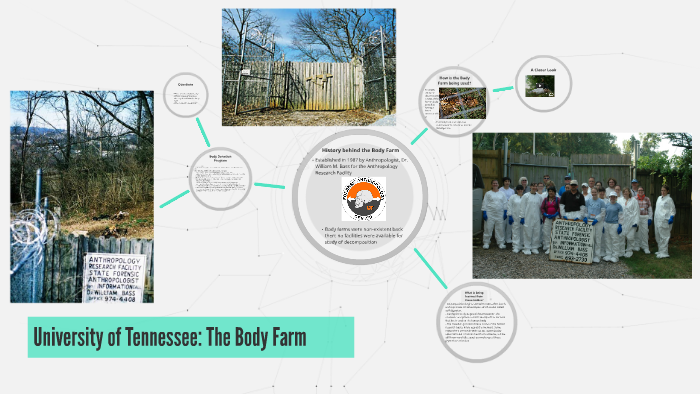 University of Tennessee: The Body Farm by evelyn alcaraz on Prezi