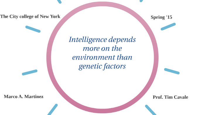 Intelligence depends more on the environment than genetic fa by Marco ...