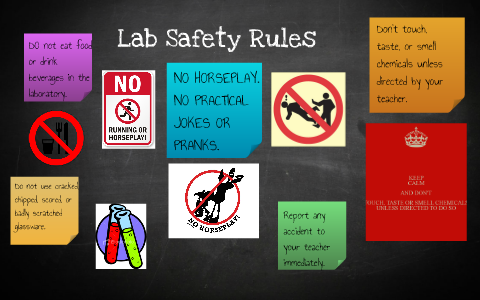 No Running In The Lab Sign