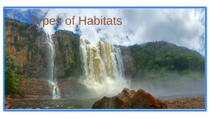 Lesson 3: Types of Habitats by jason hoating on Prezi