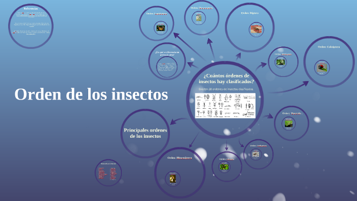 Orden de los insectos by Gonzalo Miguel Galindez Navarro on Prezi