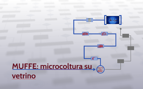 MUFFE: microcoltura su vetrino by Valentina Venturelli on Prezi