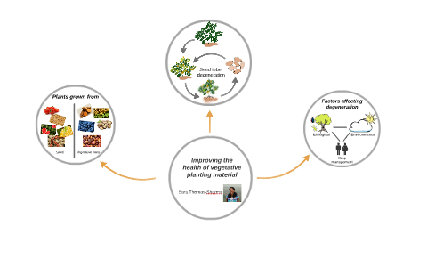 Degneration of vegetative planting material by Sara Thomas on Prezi