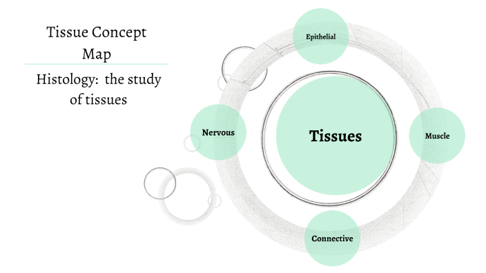 Tissue Concept Map by Michael Boyd on Prezi