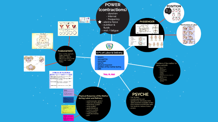 6 P's of Labor and Delivery by Louela Acedera on Prezi