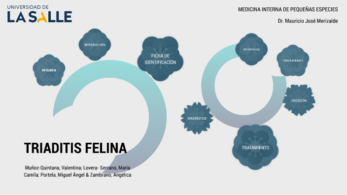 TRIADITIS FELINA by Valentina Muñoz on Prezi