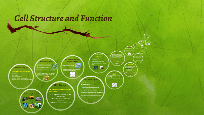 Basic Cell Structure and Function by Justin Bigelow on Prezi