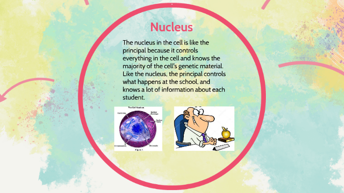 A Cell IS like a school. by Ashley McIntyre on Prezi