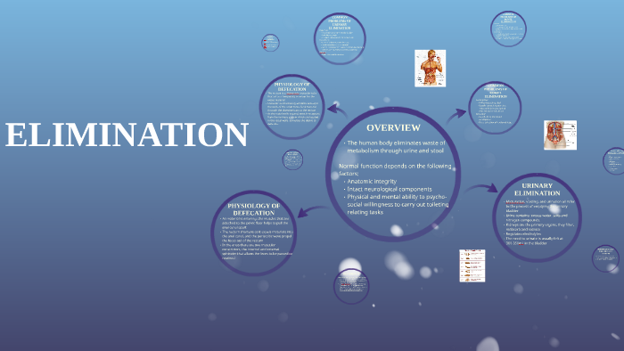 ELMINATION by Yasmine V on Prezi
