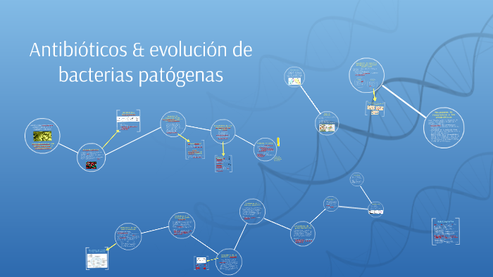 Antibióticos - Evolución de bacterias patógenas by Paz Nuñez on Prezi