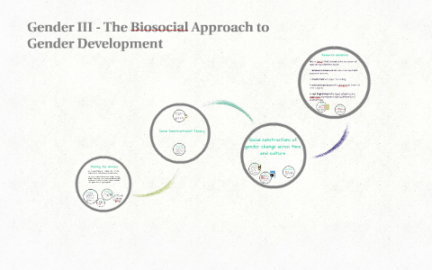 The Biosocial Approach to Gender Development by Francesca Stregapede on ...